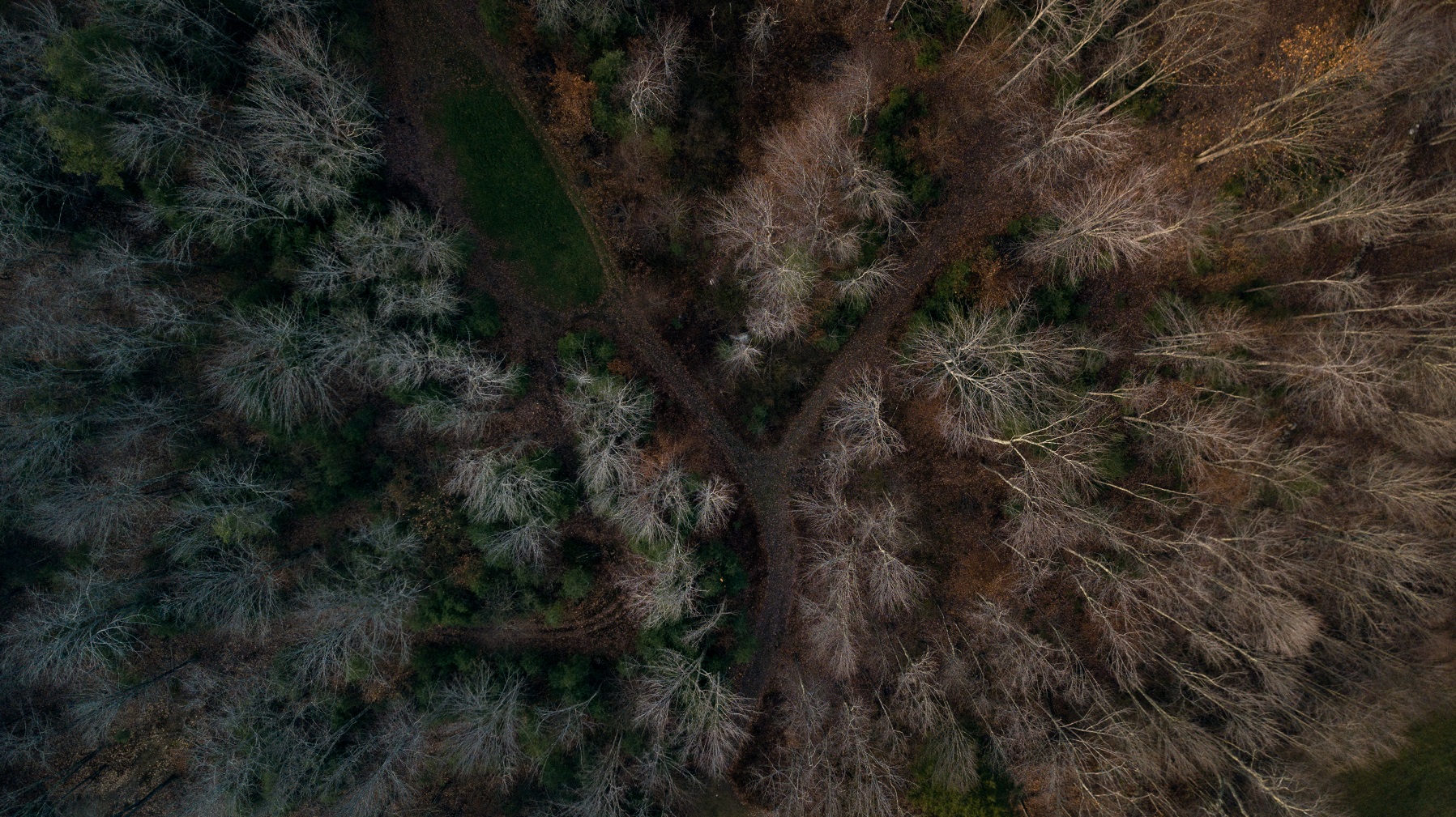 Check out Jade Brewer’s Artwork – Boston Voyager Magazine | Boston City ...