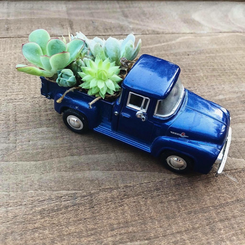 Meet Trailblazer Bethany Doane – Boston Voyager Magazine | Boston City Guide