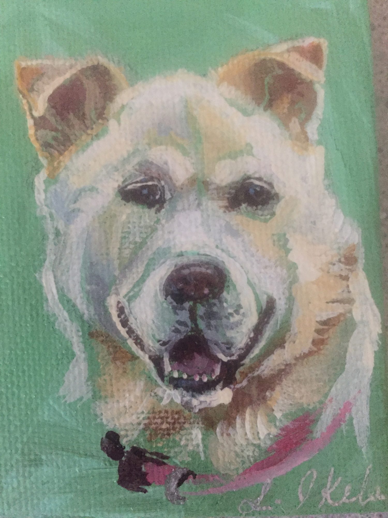 Meet Lisa Ikels – Boston Voyager Magazine | Boston City Guide