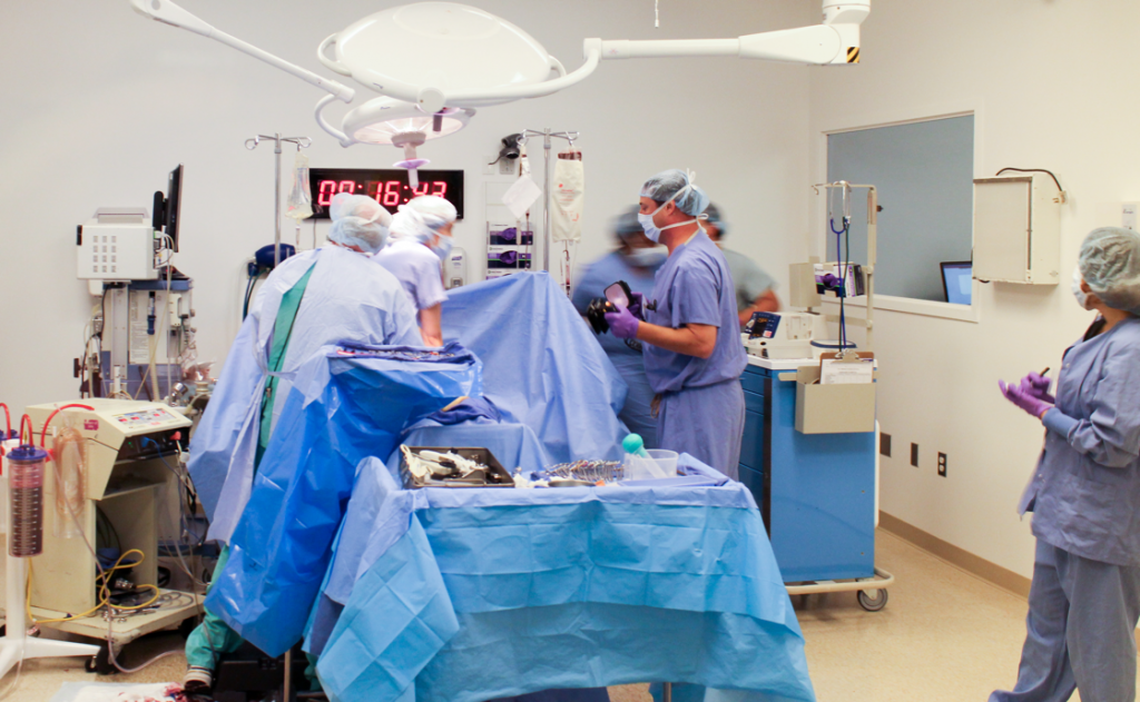 Meet Jeffrey B. Cooper,Ph.D. of Center for Medical Simulation – Boston ...