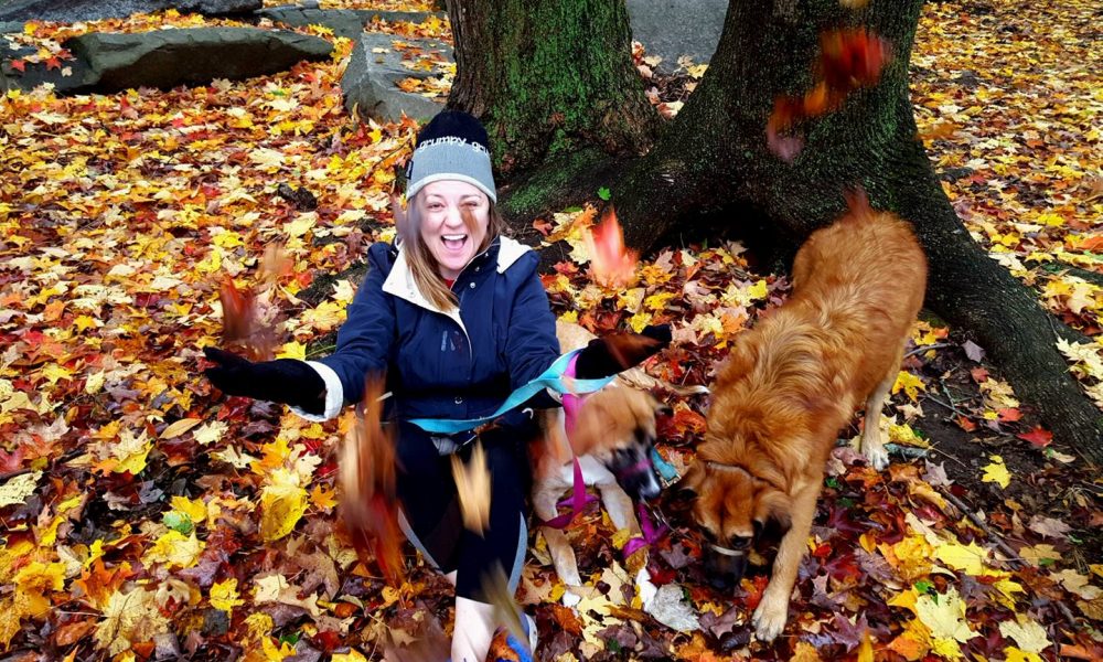 Meet Sarah Michelle of Honey MAP Agency – Boston Voyager Magazine ...