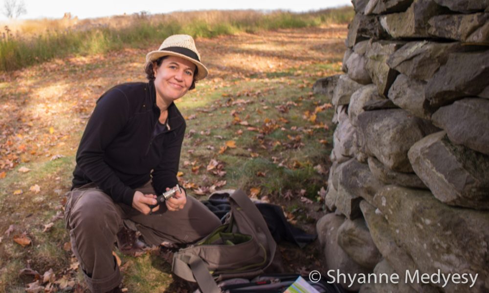 Check out Karen Philippi’s Artwork – Boston Voyager Magazine | Boston ...