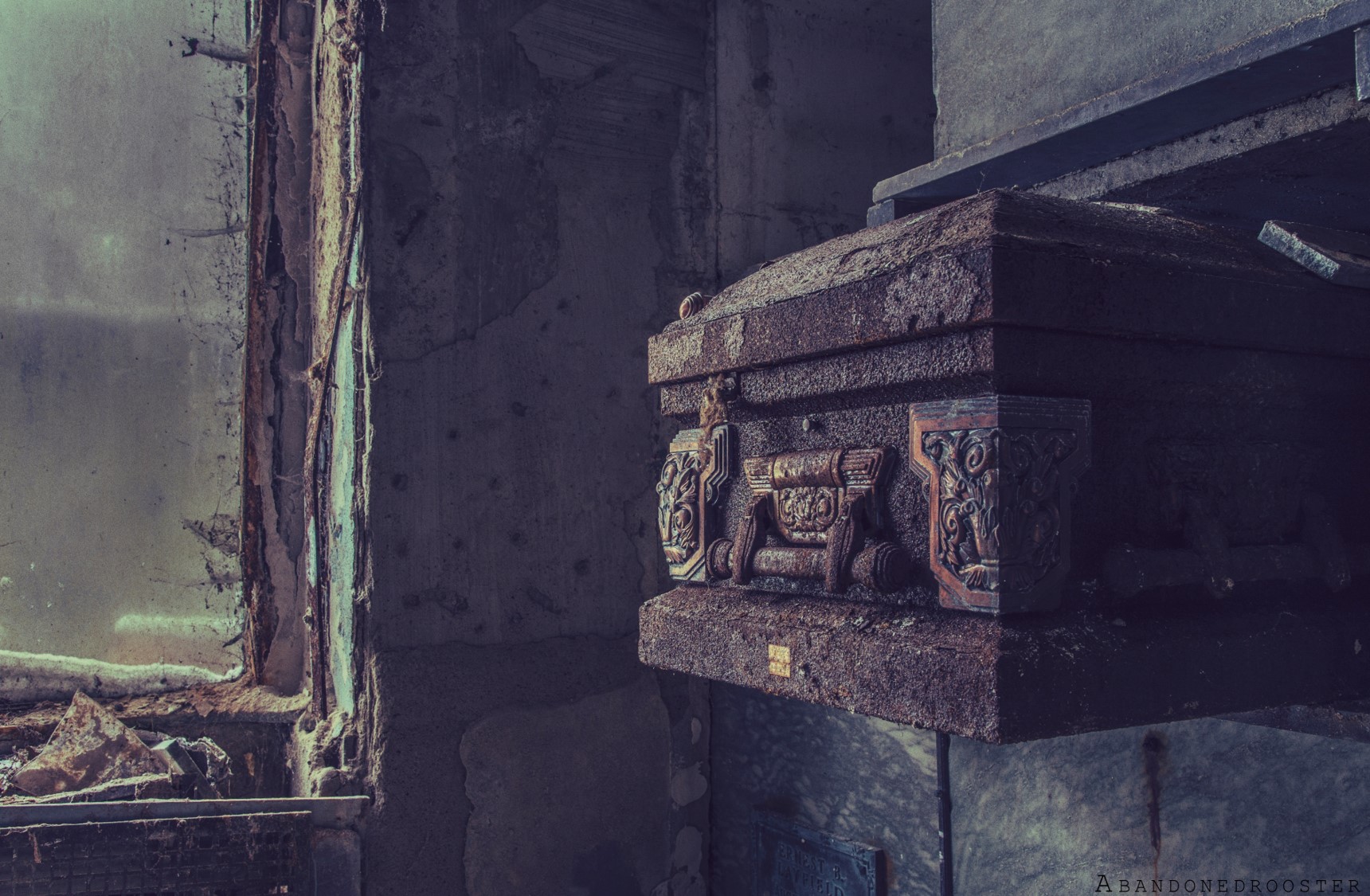 Meet Karrianne Waters of Abandoned Rooster Photography – Boston Voyager ...