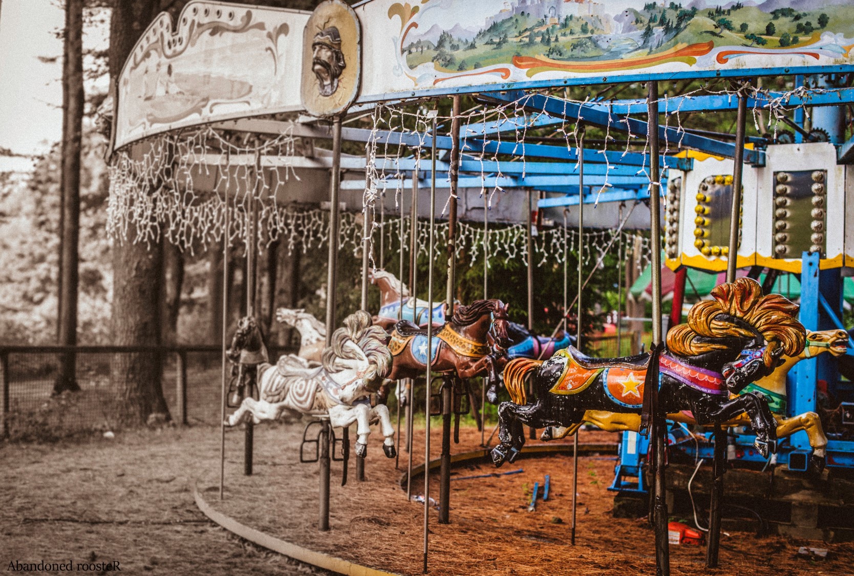 Meet Karrianne Waters of Abandoned Rooster Photography – Boston Voyager ...