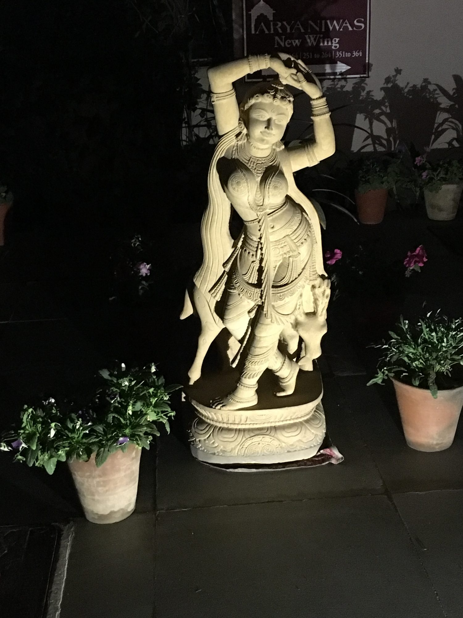 Meet Elisa Mishory of Saraswati Imports and Saraswati Shop – Boston ...