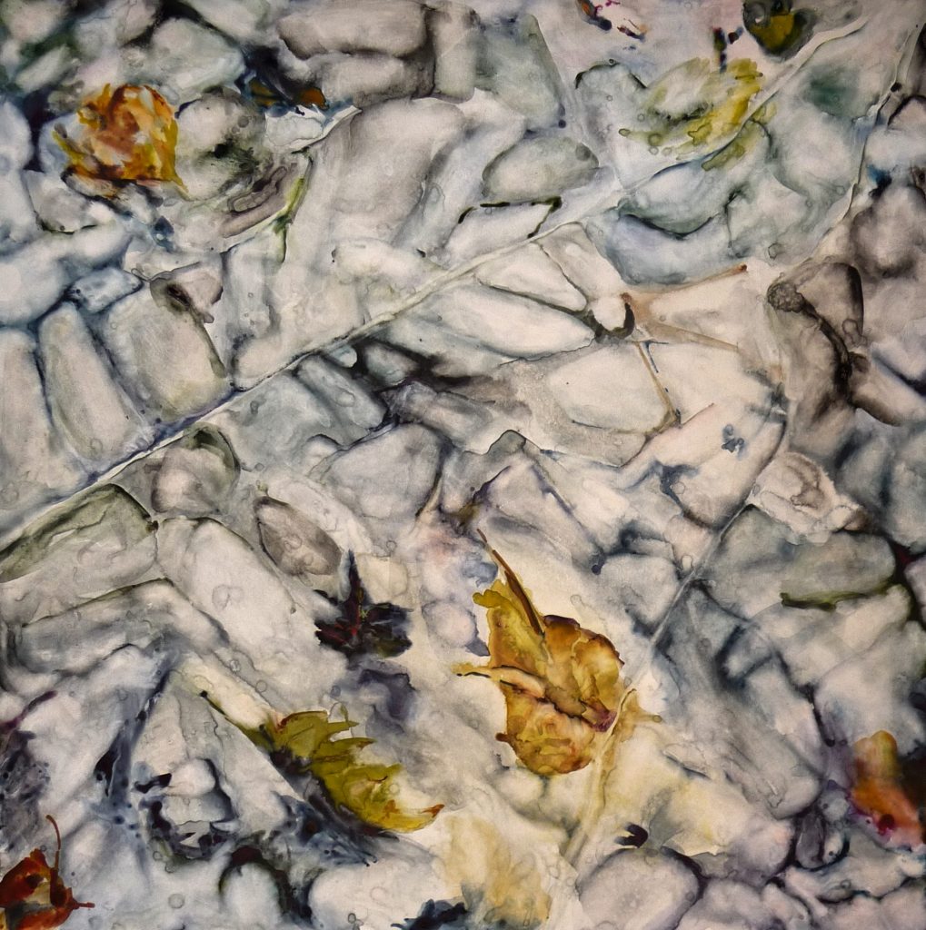 Meet Trailblazer Lisa Goren – Boston Voyager Magazine | Boston City Guide