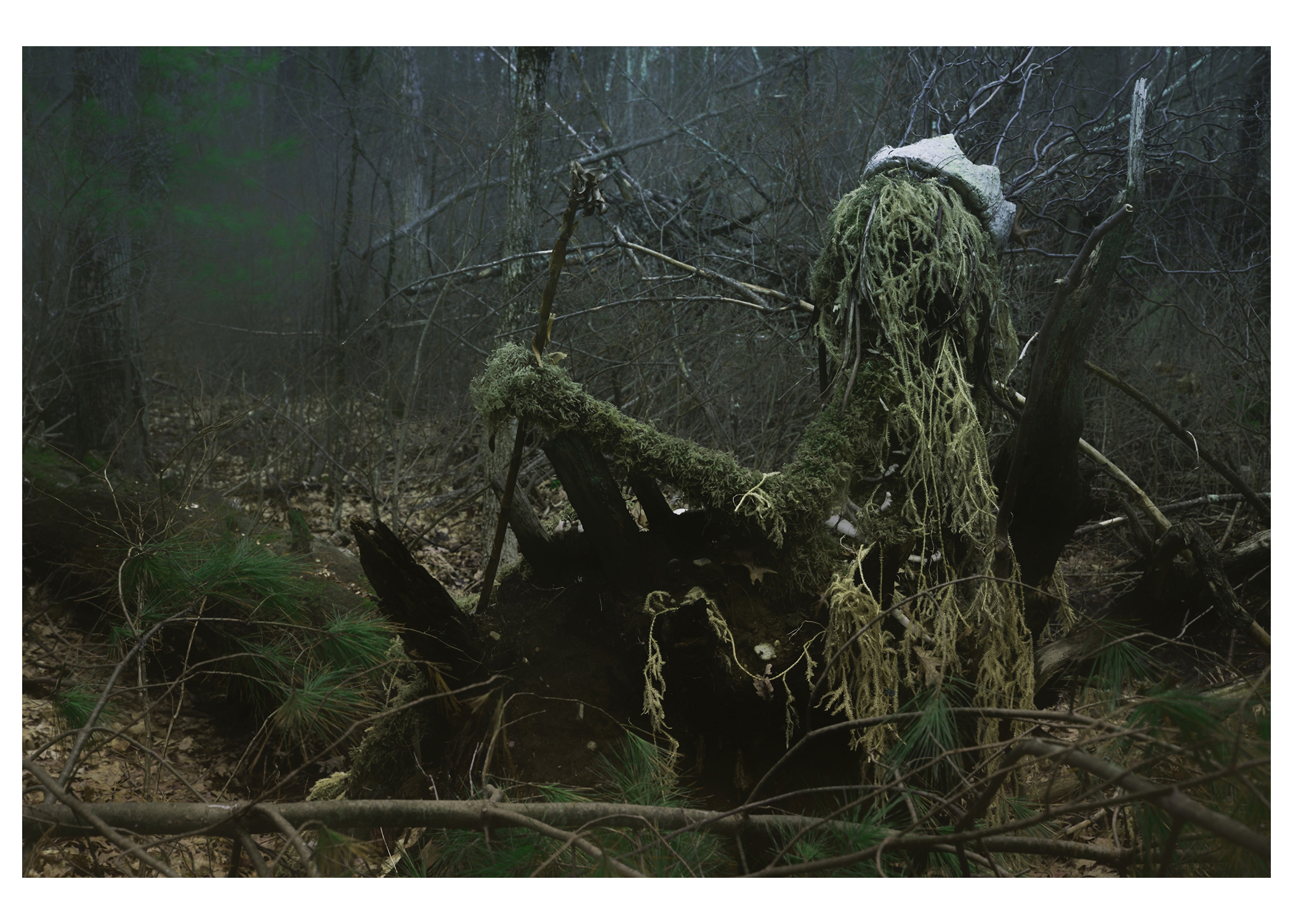 Art & Life with Anne Eder – Boston Voyager Magazine | Boston City Guide