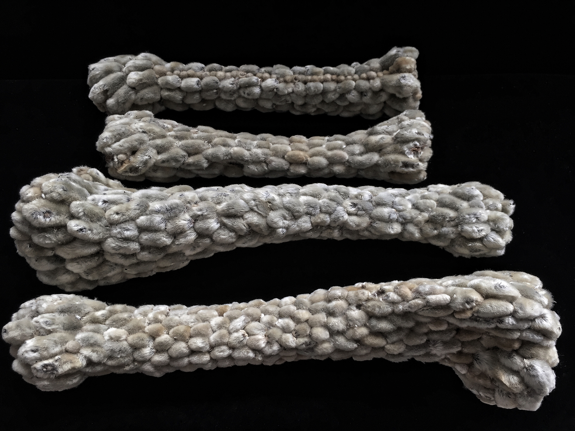 Art & Life with Anne Eder – Boston Voyager Magazine | Boston City Guide