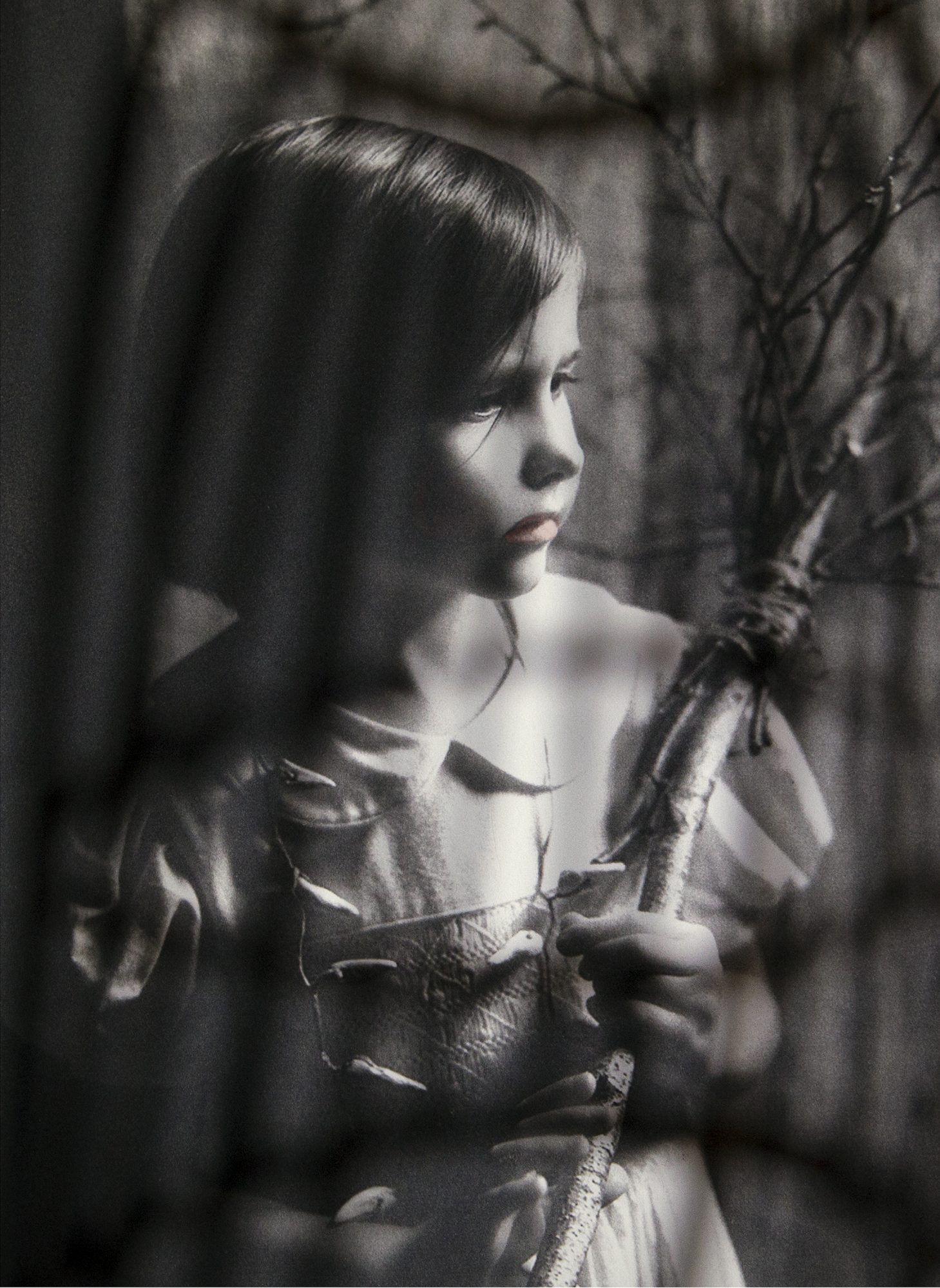 Art & Life with Anne Eder – Boston Voyager Magazine | Boston City Guide