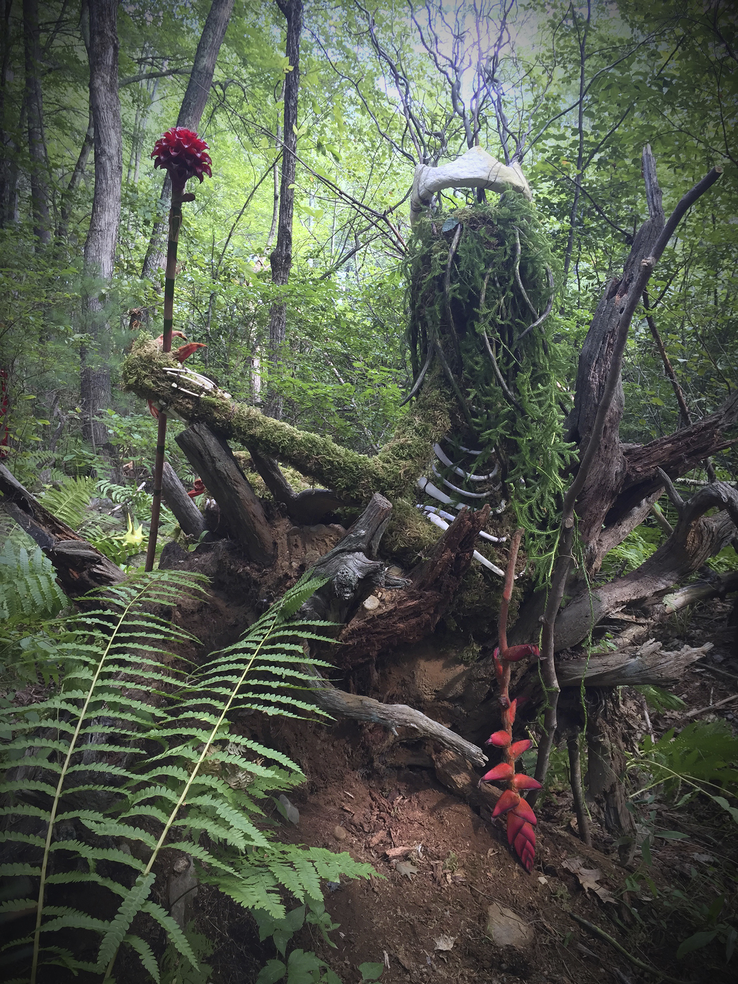 Art & Life with Anne Eder – Boston Voyager Magazine | Boston City Guide