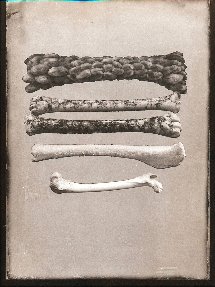 Art & Life with Anne Eder – Boston Voyager Magazine | Boston City Guide