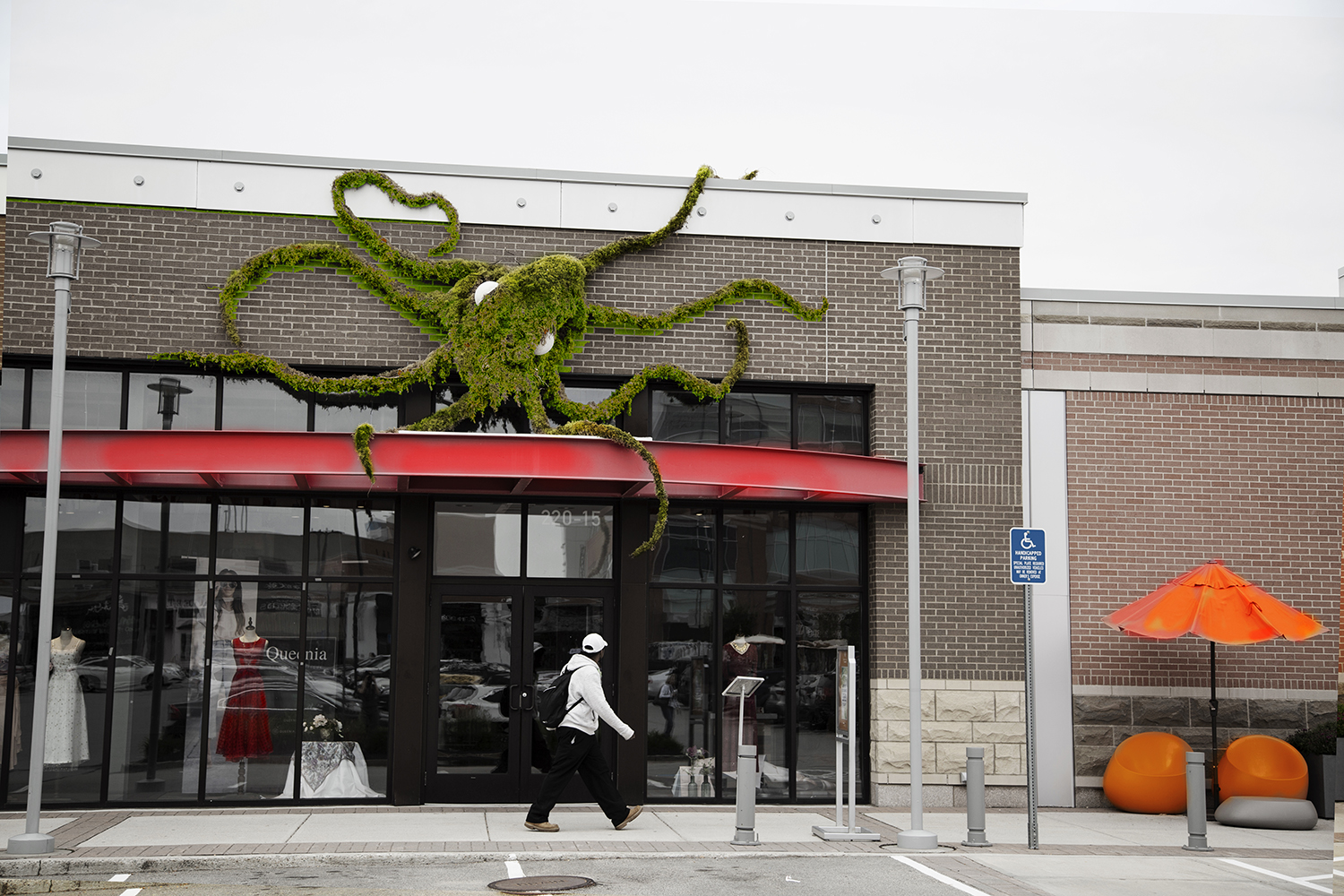 Art & Life with Anne Eder – Boston Voyager Magazine | Boston City Guide