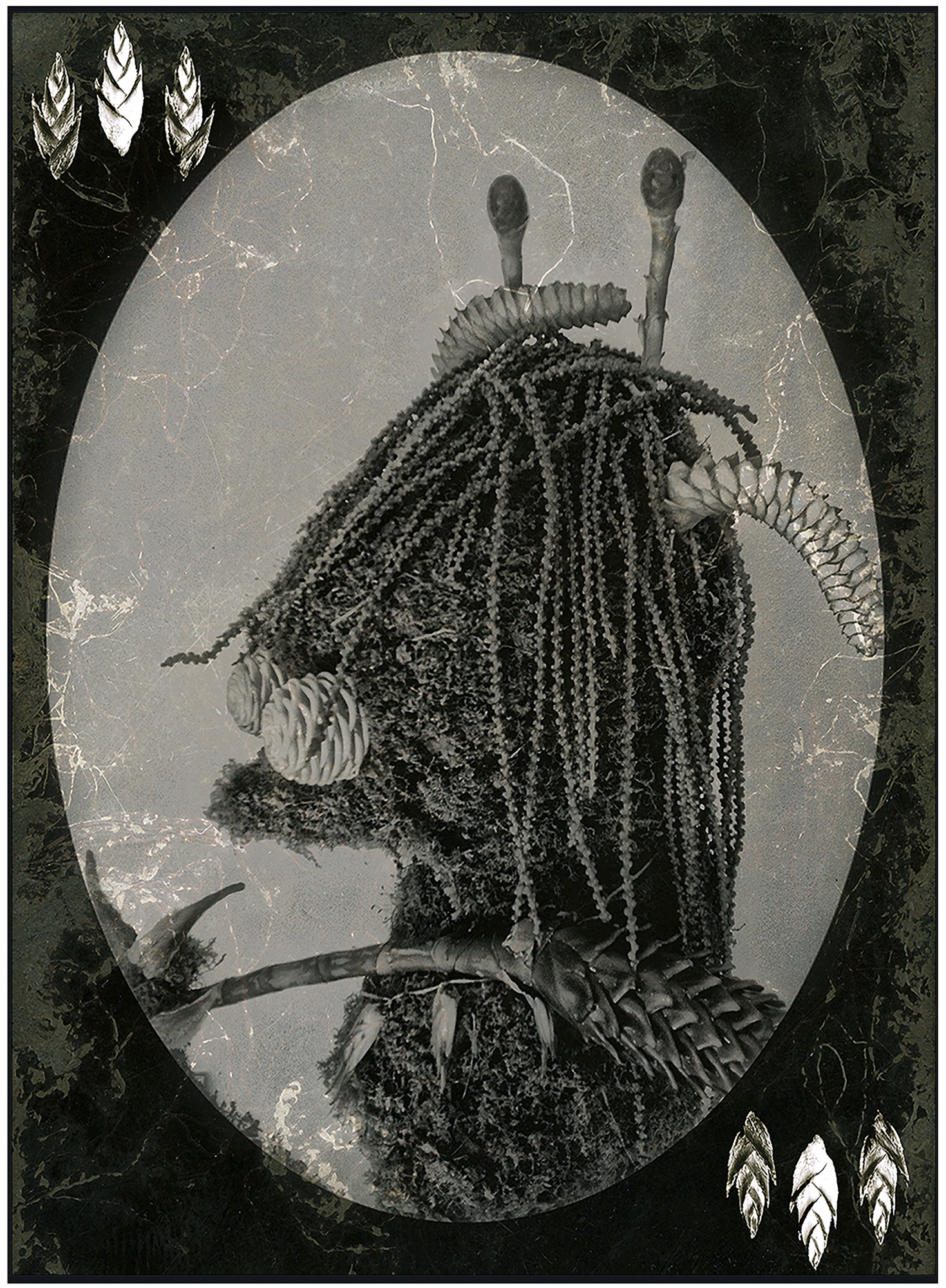 Art & Life with Anne Eder – Boston Voyager Magazine | Boston City Guide